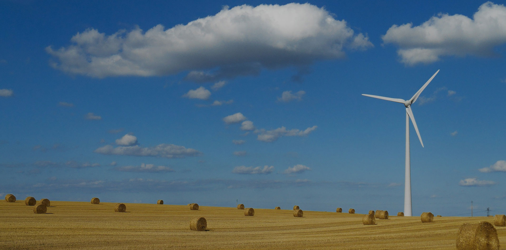 Sprng Energy: Delivering Power & Progress, Sustainably - India