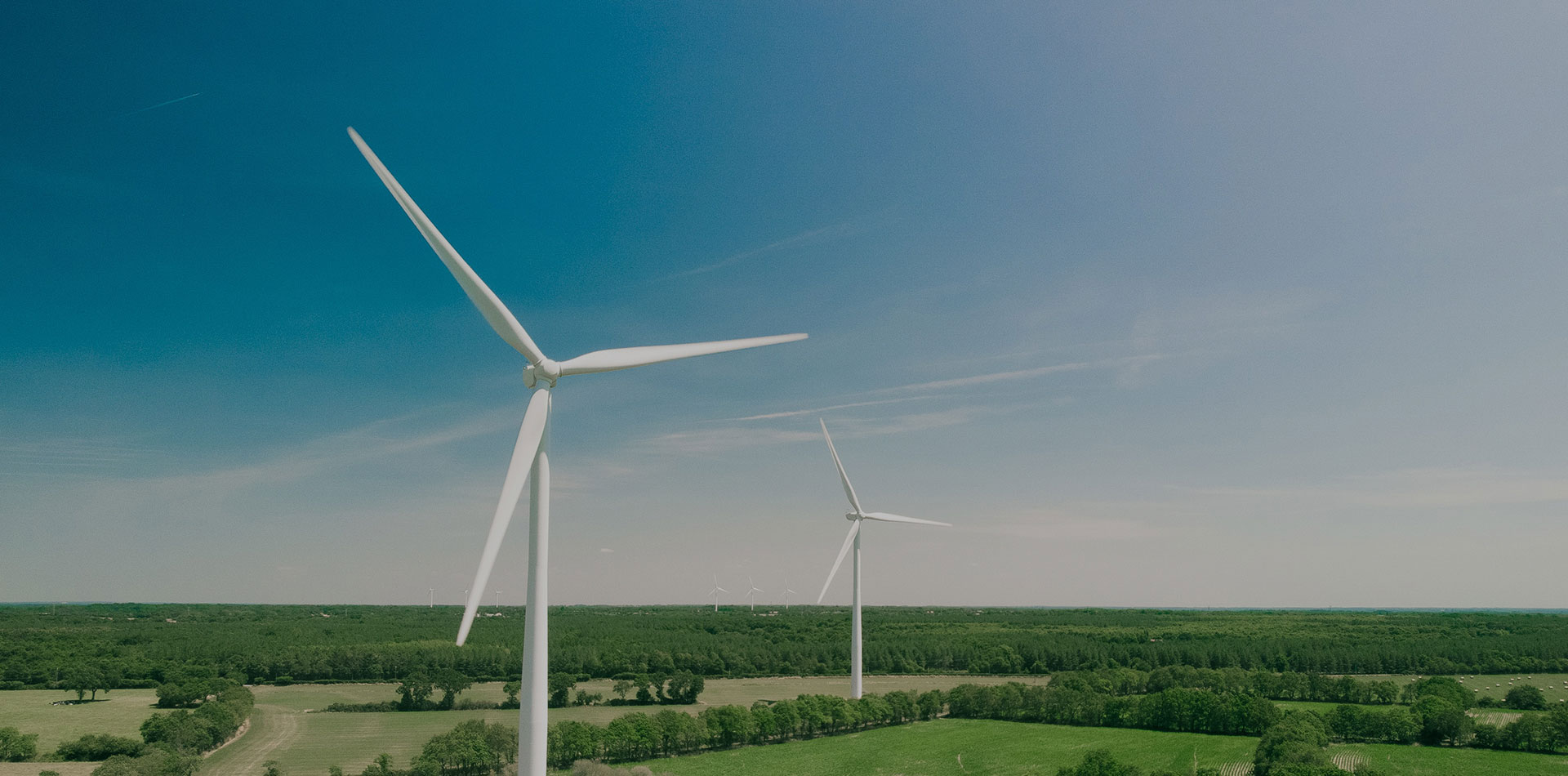 Sprng Energy: Delivering Power & Progress, Sustainably - India